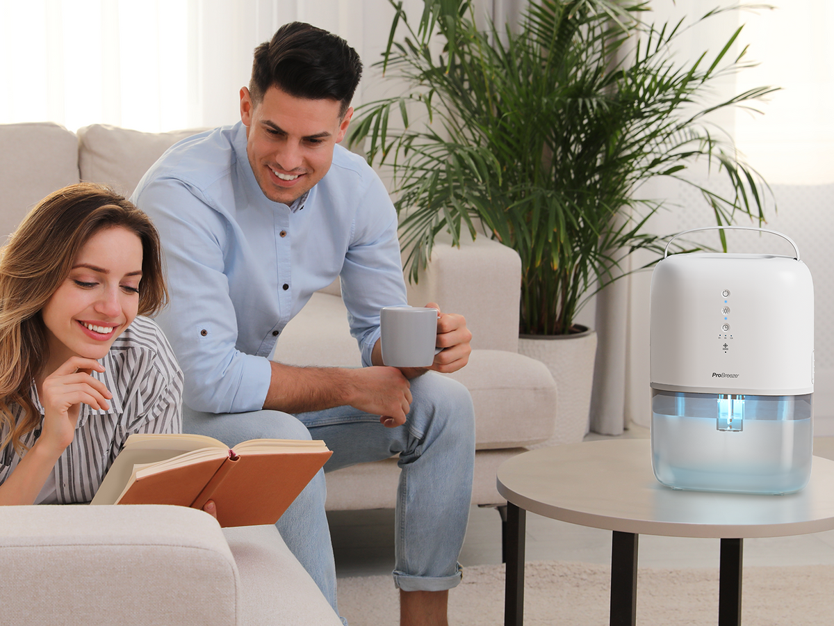 Definitive Guide to Treating and Preventing Damp in Your Home | Pro ...