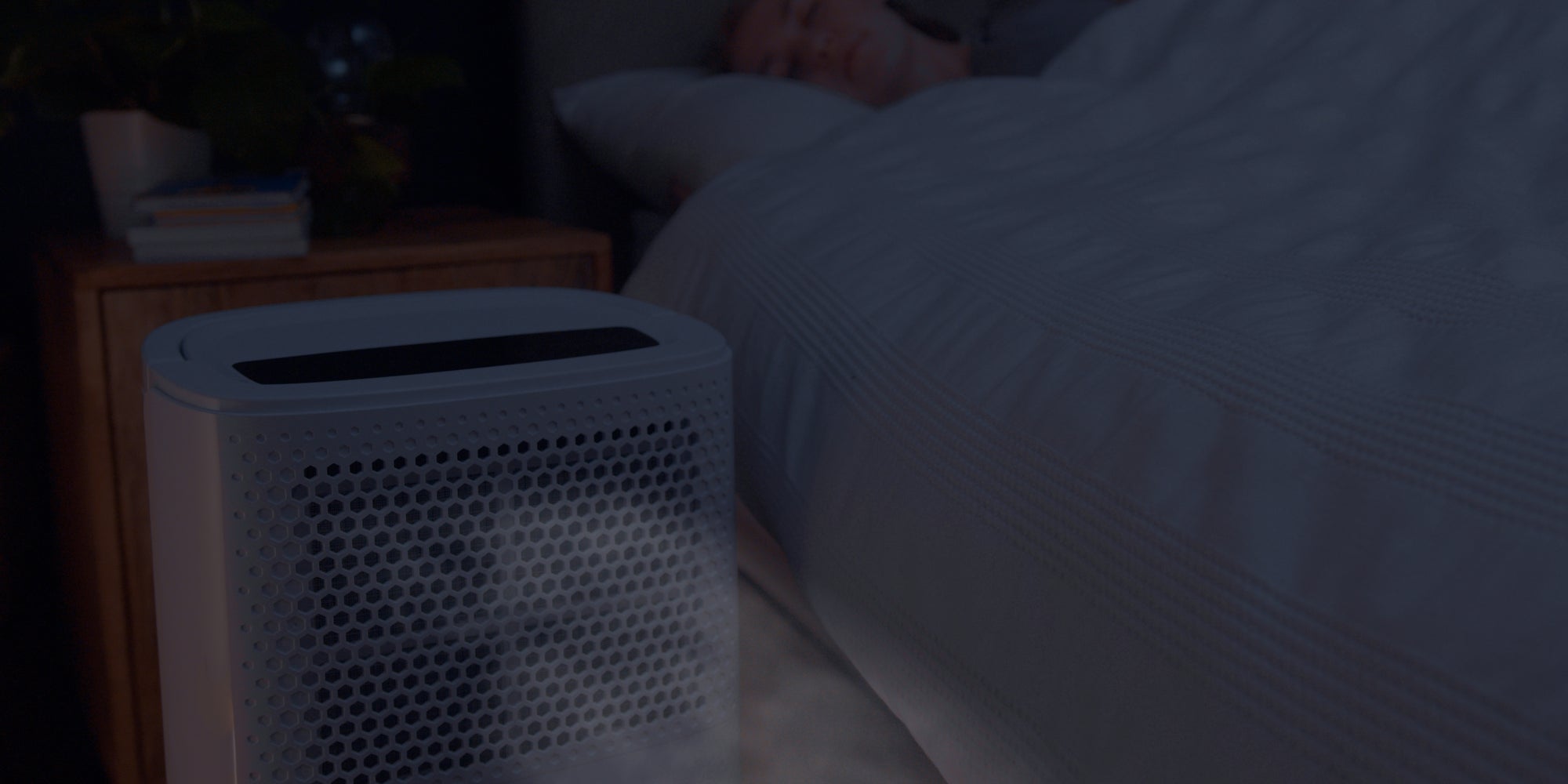 The Big Winter Sale | Free Delivery | Pro Breeze