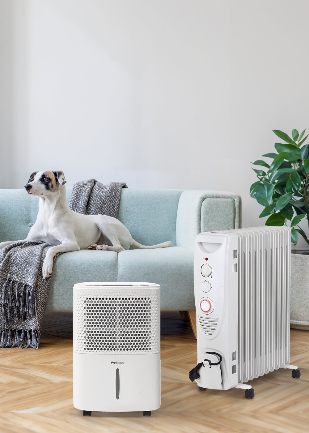 January Sale | Free Delivery | Pro Breeze